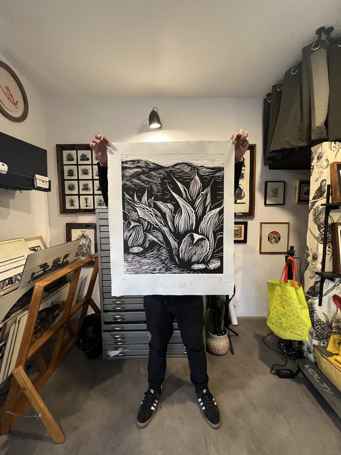 “Agave del monte” (Tepeztate) – Lugar de huida